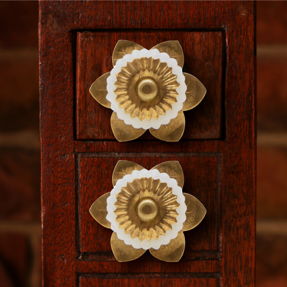 Buy Glass Berry Novelty Knob Multipack Online | Trinca Ferro